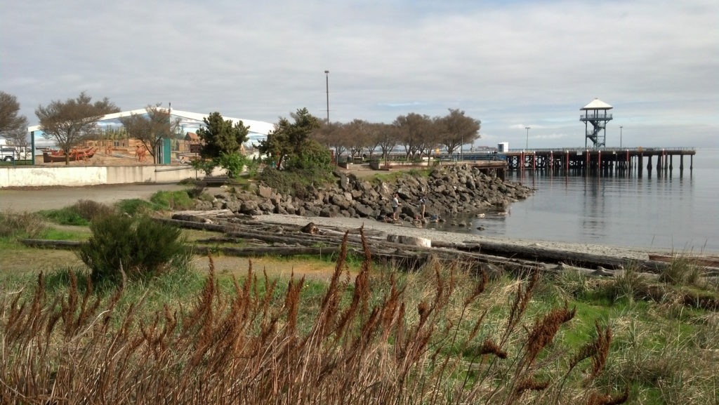 Port Angeles & Lake Crescent | Olympic Peninsula