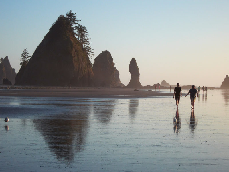 Visit Kalaloch Beaches | Things To Do | The Olympic Peninsula