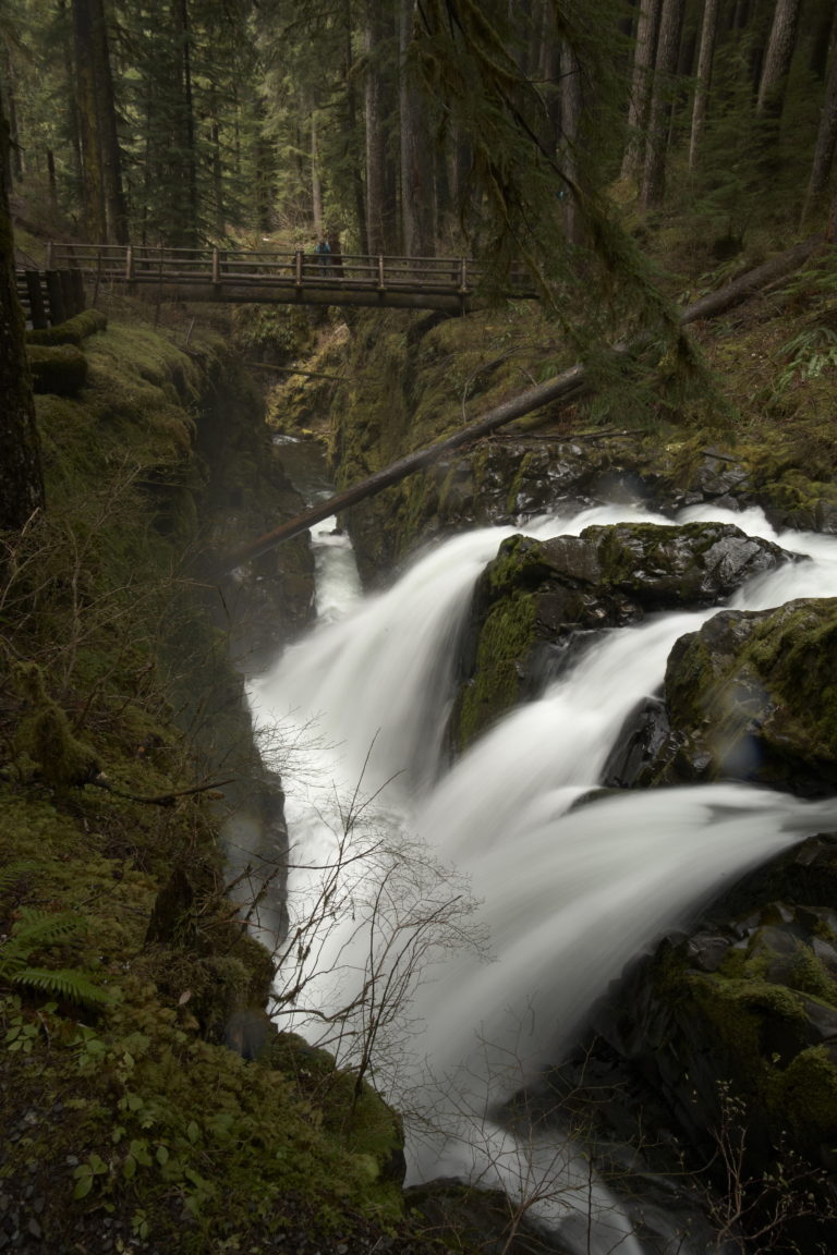 Olympic Peninsula Waterfall Trail | The Olympic Peninsula, WA