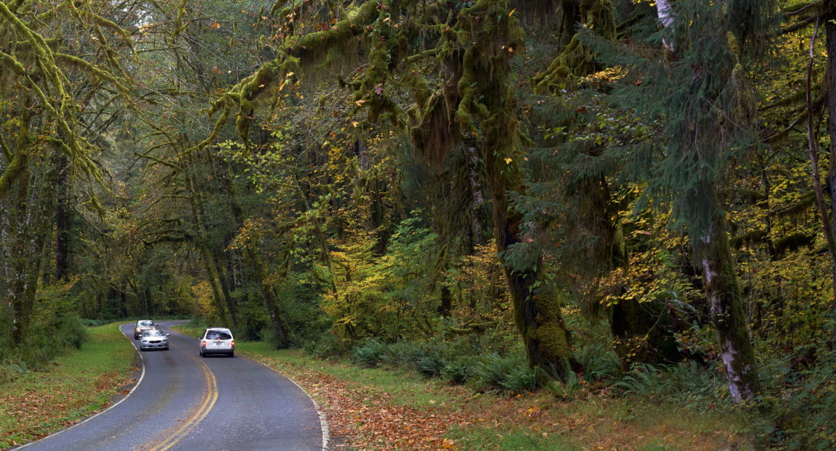 Olympic Peninsula Travel Alerts