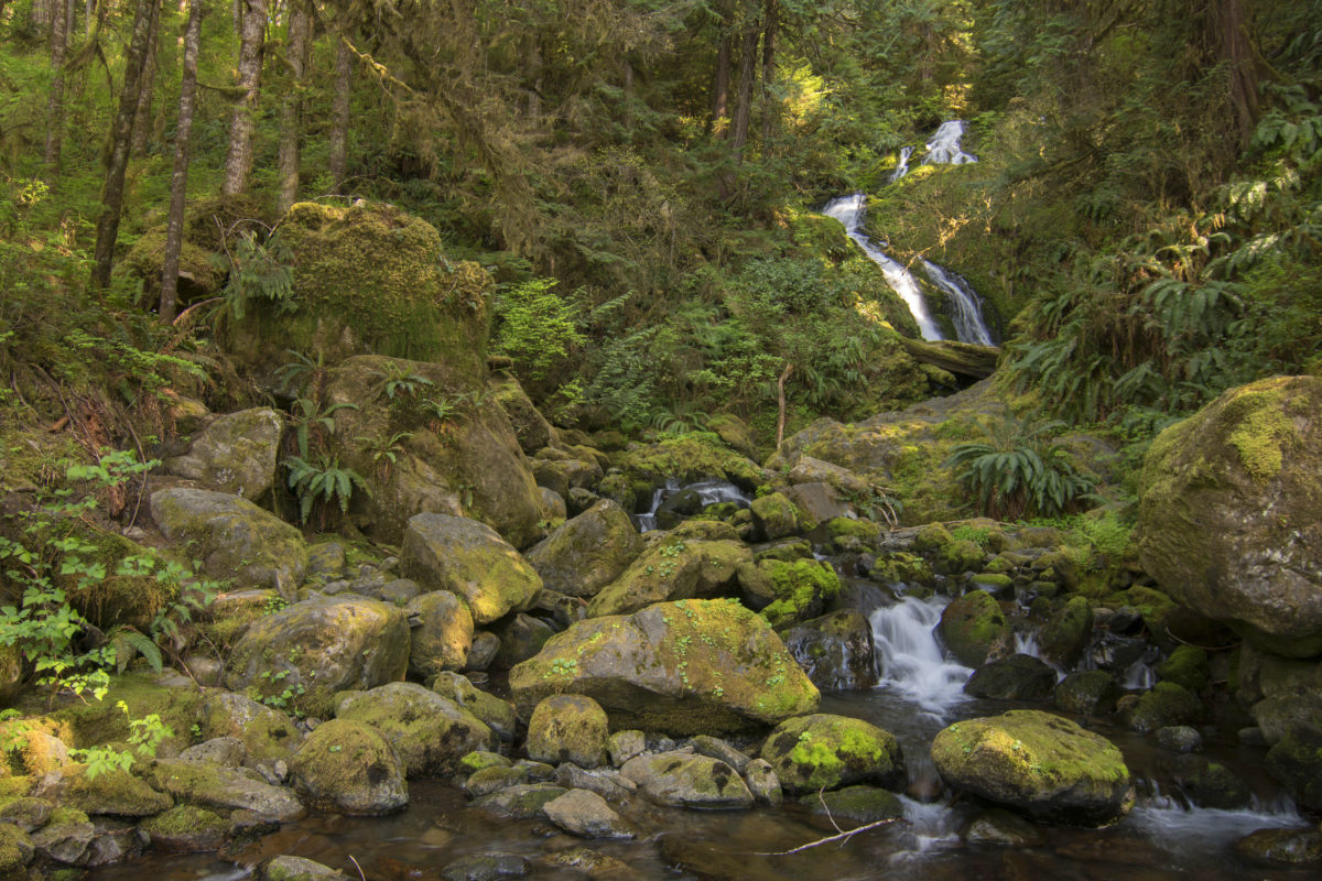 The Best Rain Forest Waterfalls on the Olympic Peninsula, WA