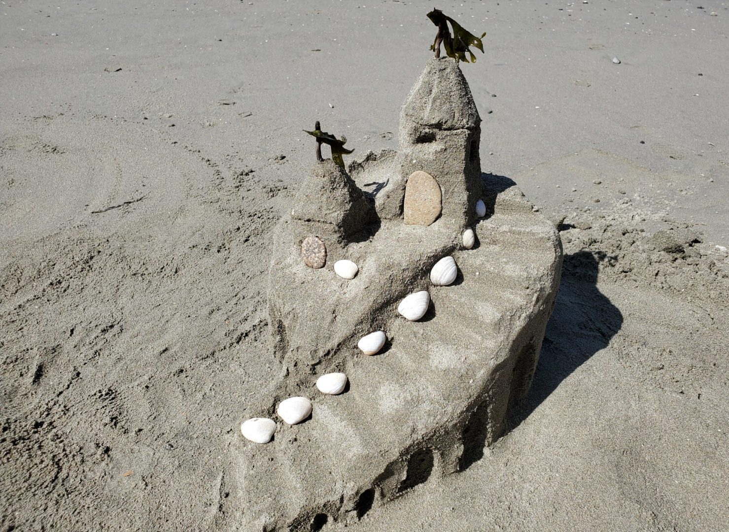How to Build a Sandcastle on a Grays Harbor Beach in WA State