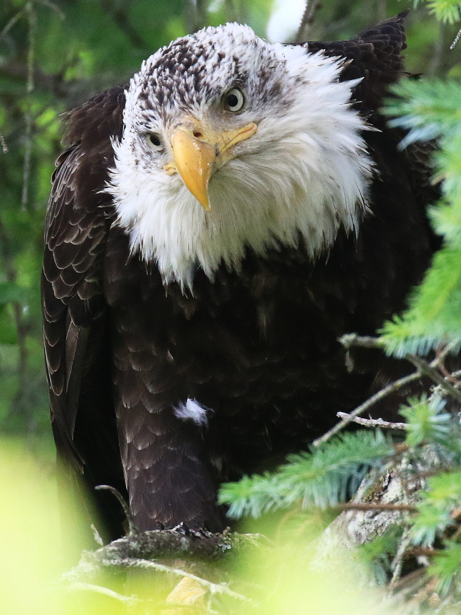 Visiting Washington State Parks
