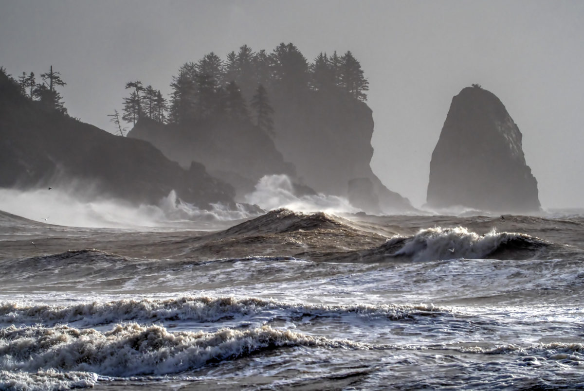 Clallam Bay & Sekiu & Neah Bay | Destinations | Olympic Peninsula