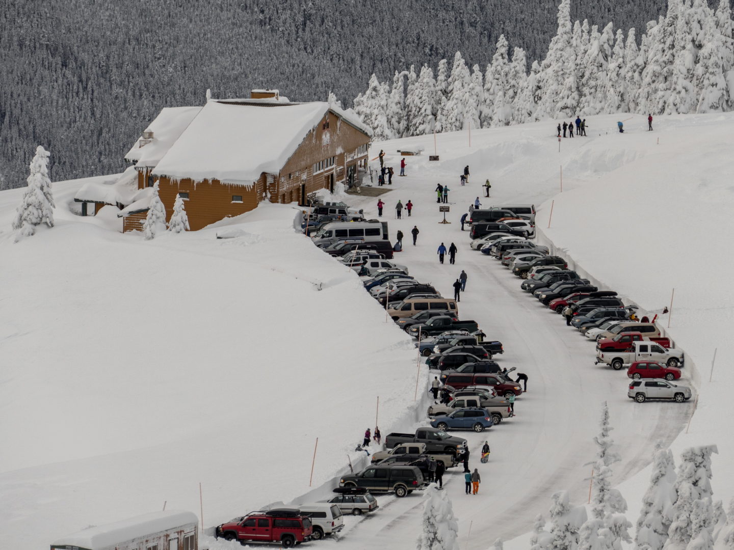 Visiting Hurricane Ridge in Winter