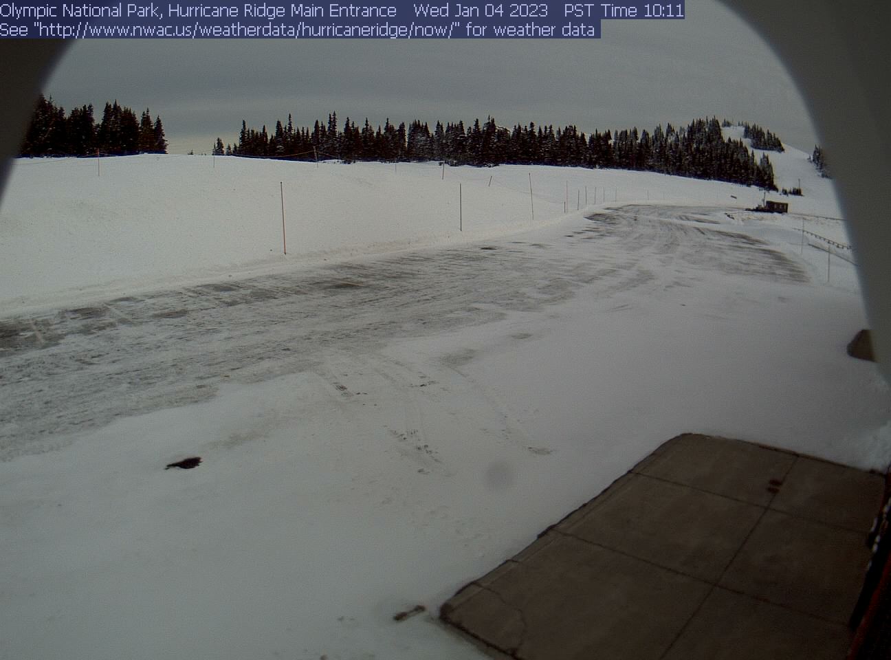 Visiting Hurricane Ridge in Winter