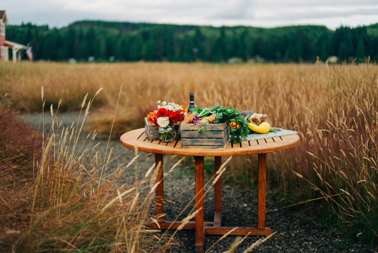 Taste the Olympic Culinary Loop