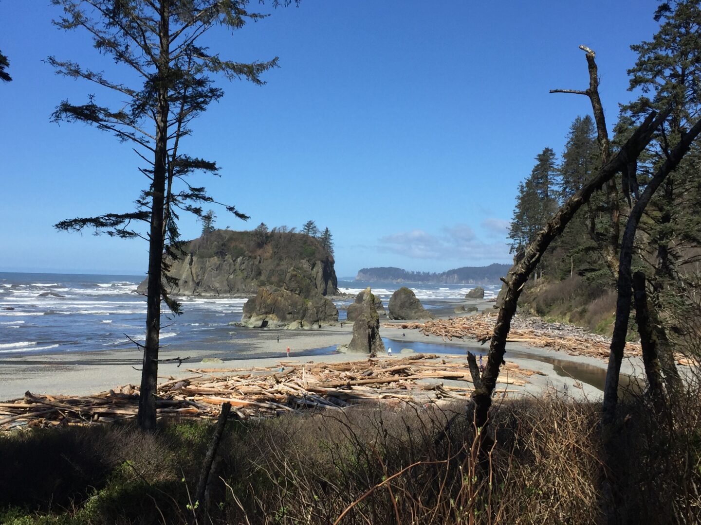 How Accessible is the Olympic Peninsula? (Part 2)