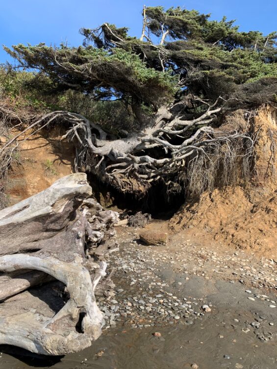 How Accessible is the Olympic Peninsula? (Part 2)