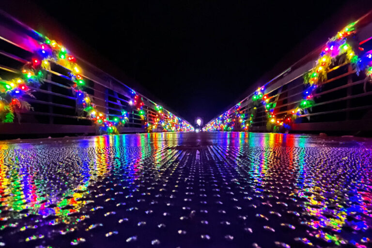 Sequim & Dungeness Valley | Things To Do | Olympic Peninsula