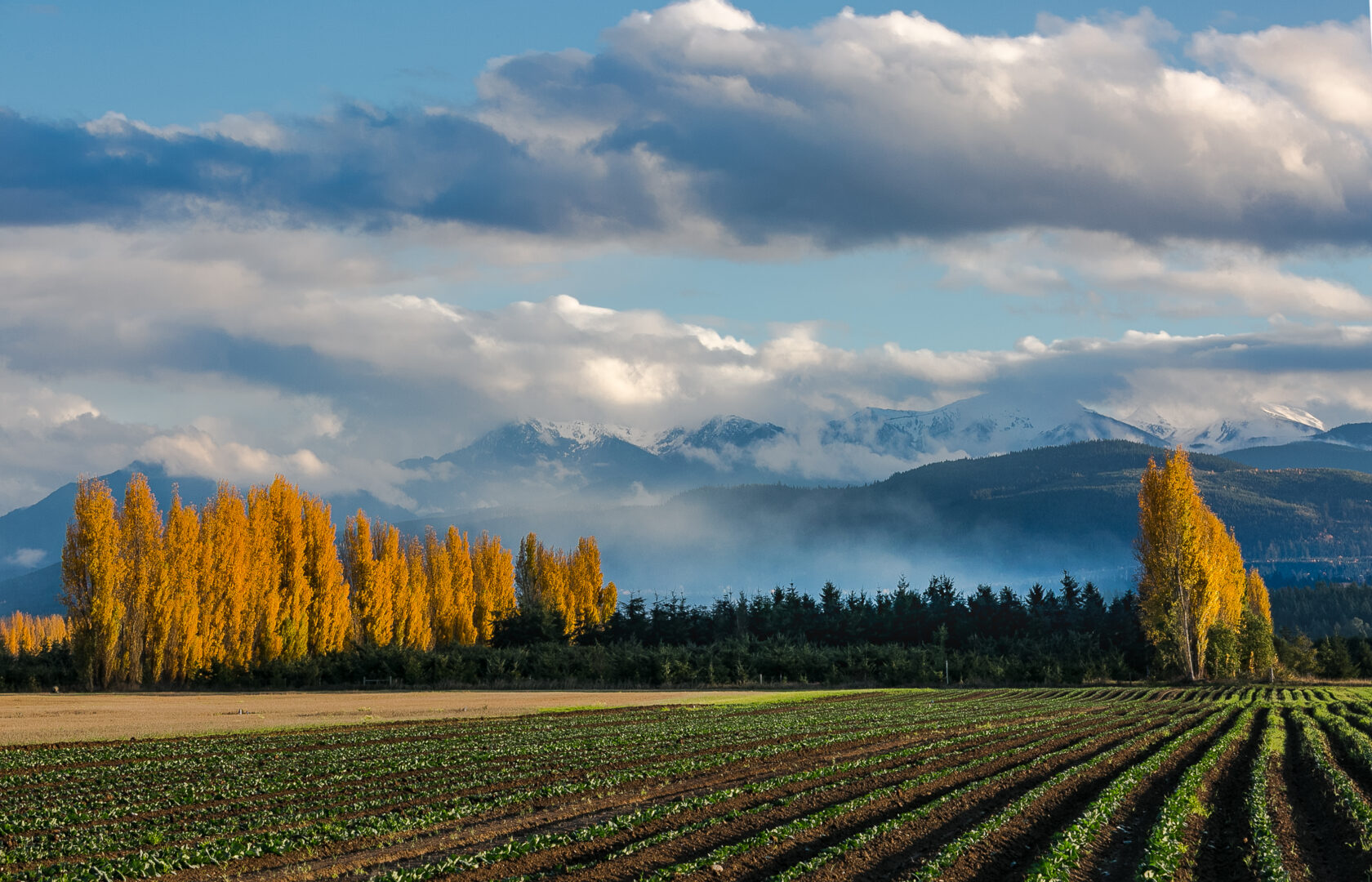 Winter | Seasons | Olympic Peninsula