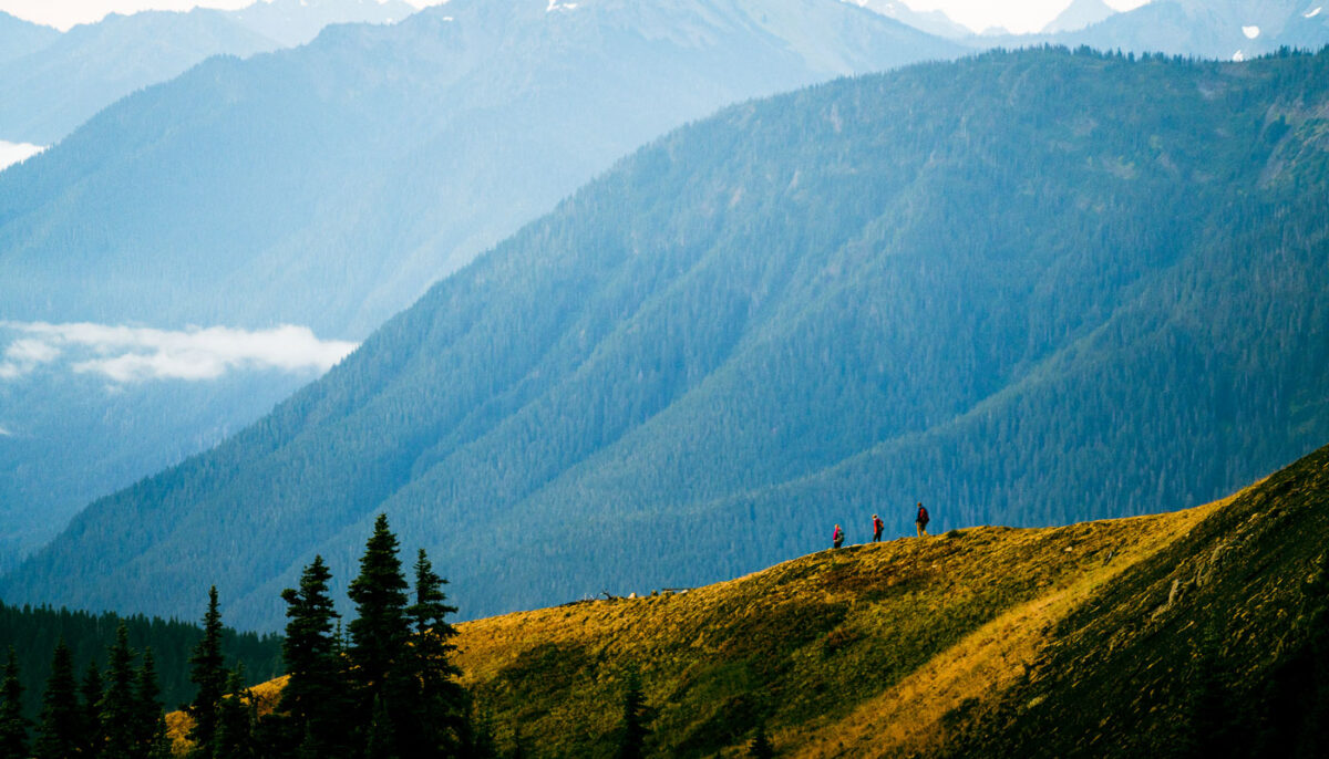 Fall Itinerary: 3 Days in Port Angeles, Washington - The Olympic ...