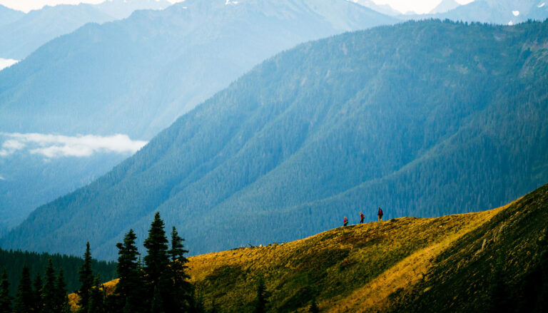 Fall Itinerary: 3 Days in Port Angeles, Washington - The Olympic ...