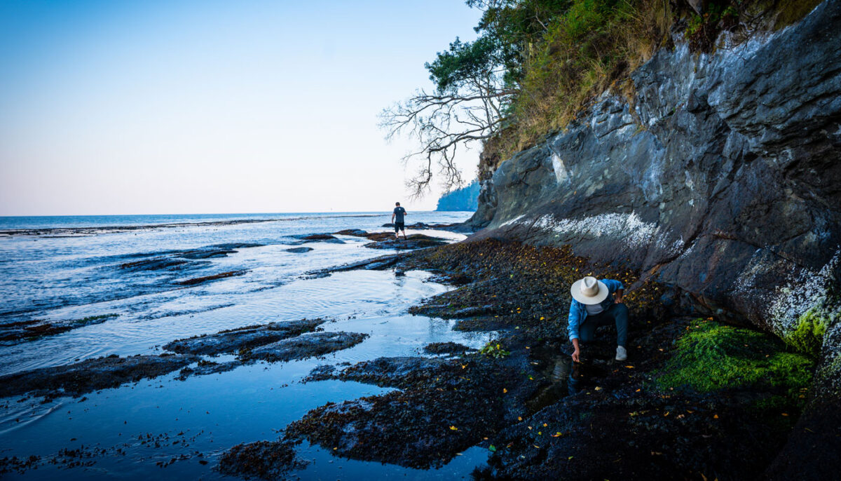 Fall Itinerary: 3 Days in Port Angeles, Washington - The Olympic ...