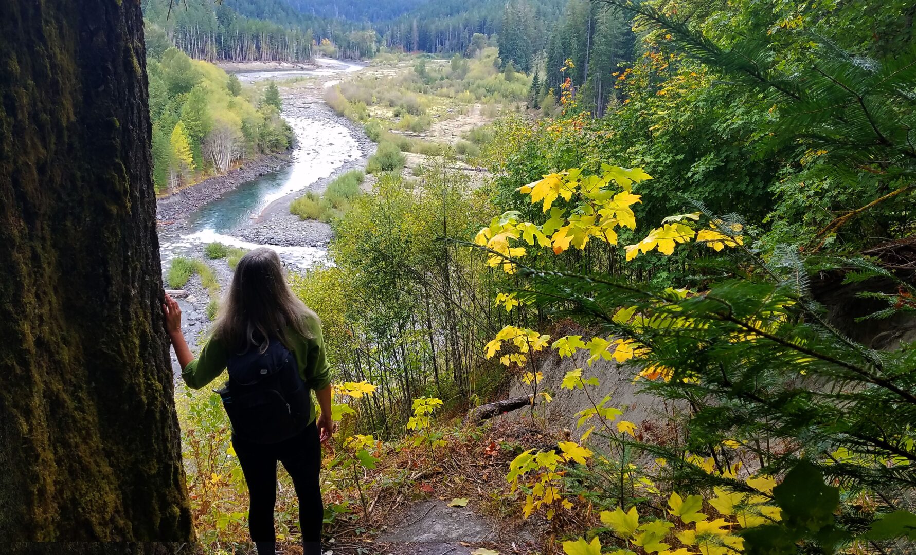 Celebrating Native American Heritage on the Olympic Peninsula