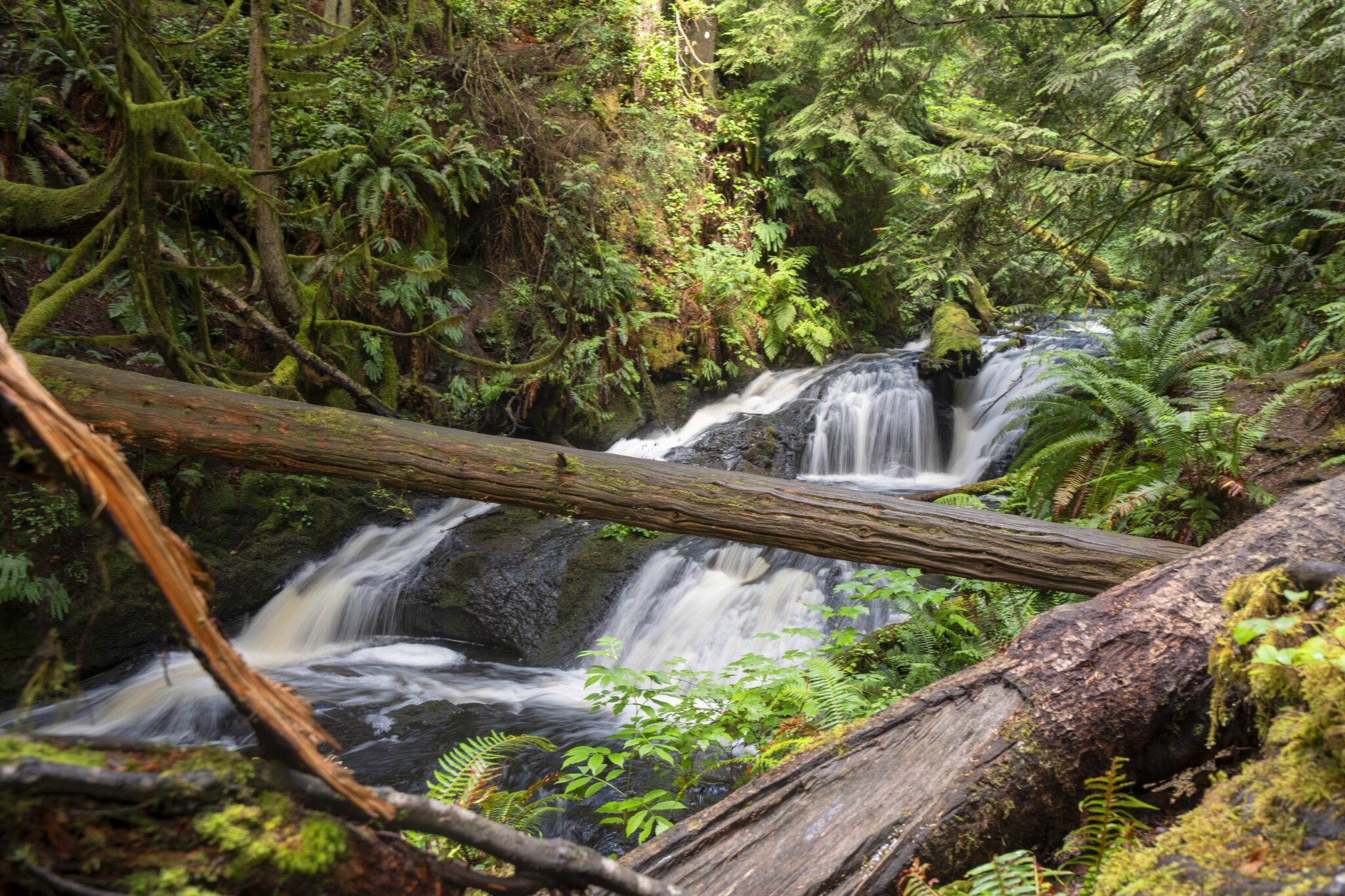 Chimacum Valley | Destinations | Olympic Peninsula