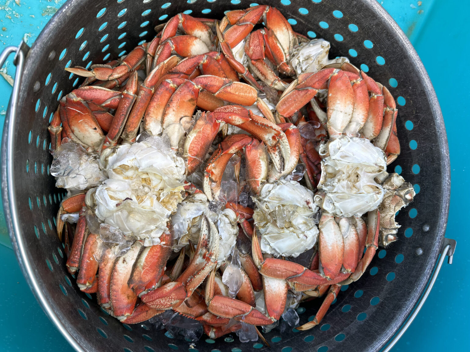Dungeness Crab Festival: Tribal and Cultural Traditions